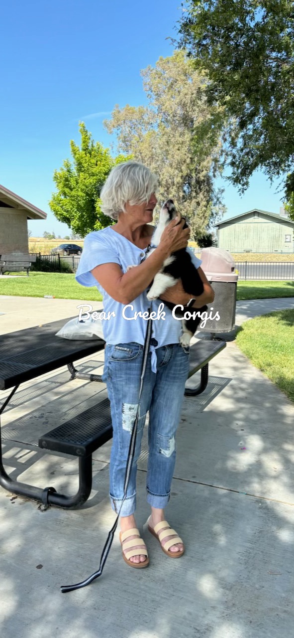 Good bye snuggles 💚 – Bear Creek Corgis